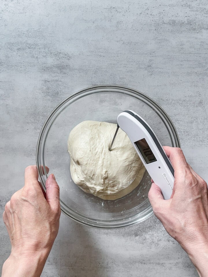 The Ultimate Guide to Sourdough Bulk Fermentation – sourdoughtalk.com