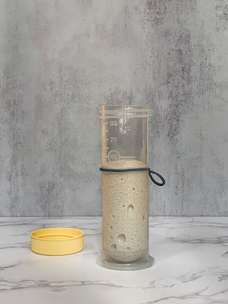Aliquot Jar Method for Sourdough Bulk Fermentation – sourdoughtalk.com