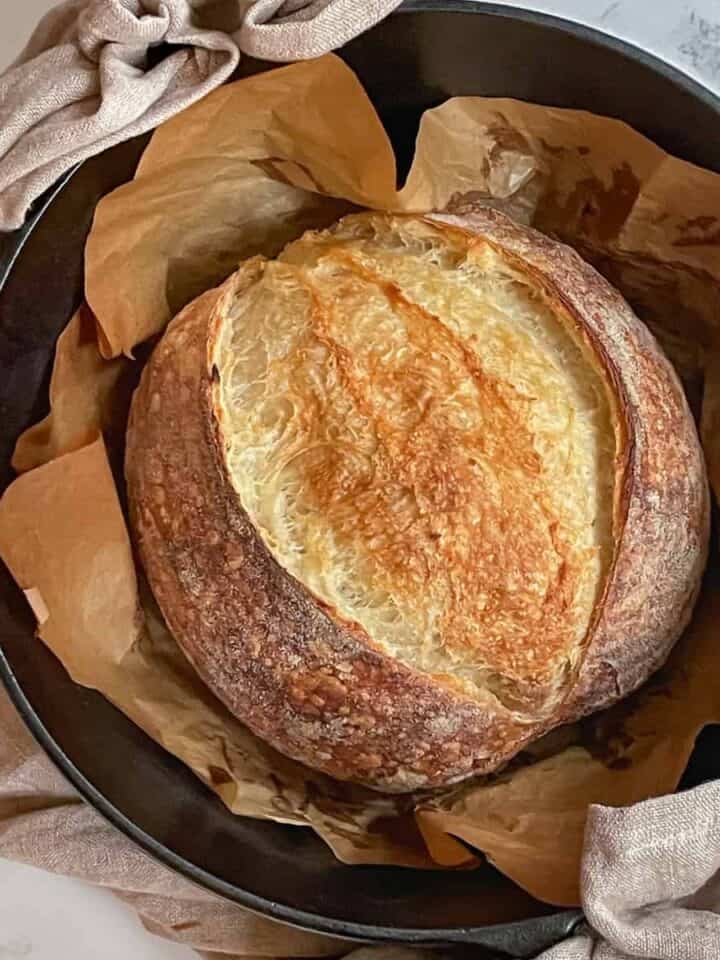 Sourdough Bread Ingredients: The Best Flour and Water to Use ...