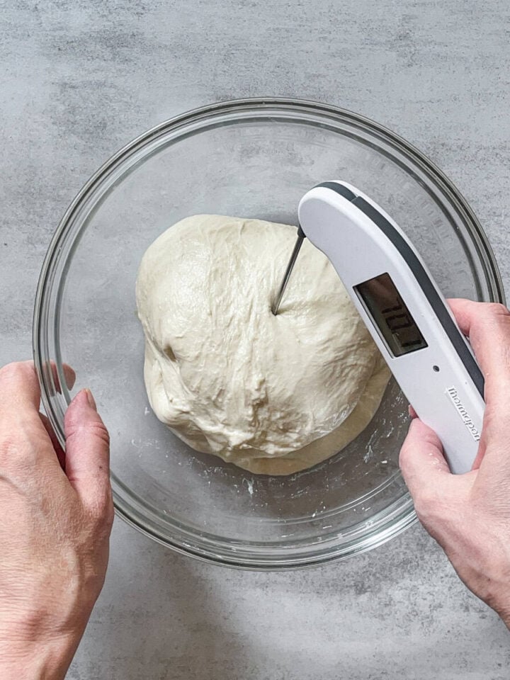 The Ultimate Guide to Sourdough Bulk Fermentation – sourdoughtalk.com