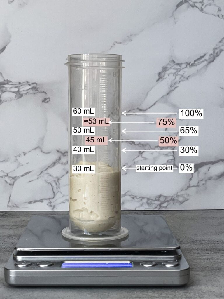 Dough Temperature, Percentage Rise, and the Aliquot Method Explained ...
