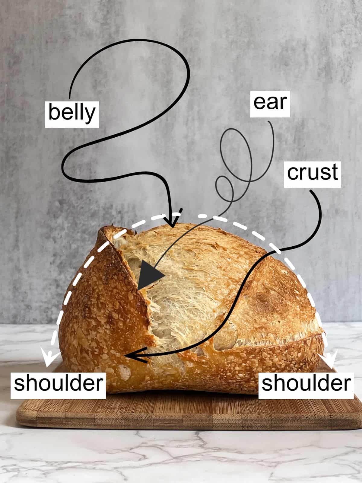 What Is Perfect Sourdough Bread Loaf? Crumb, Taste, and Flavor ...