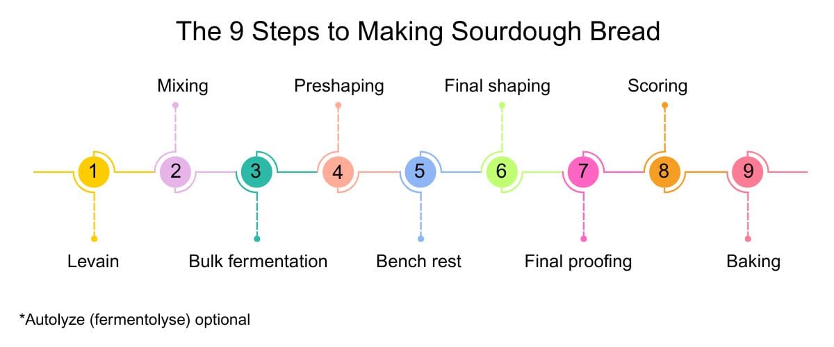 Beginner's Sourdough Guide: From Starter to Freshly Baked Bread ...
