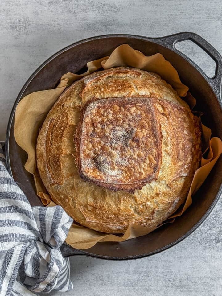 Sourdough Coil Fold vs Stretch and Fold: A Beginner's Guide ...