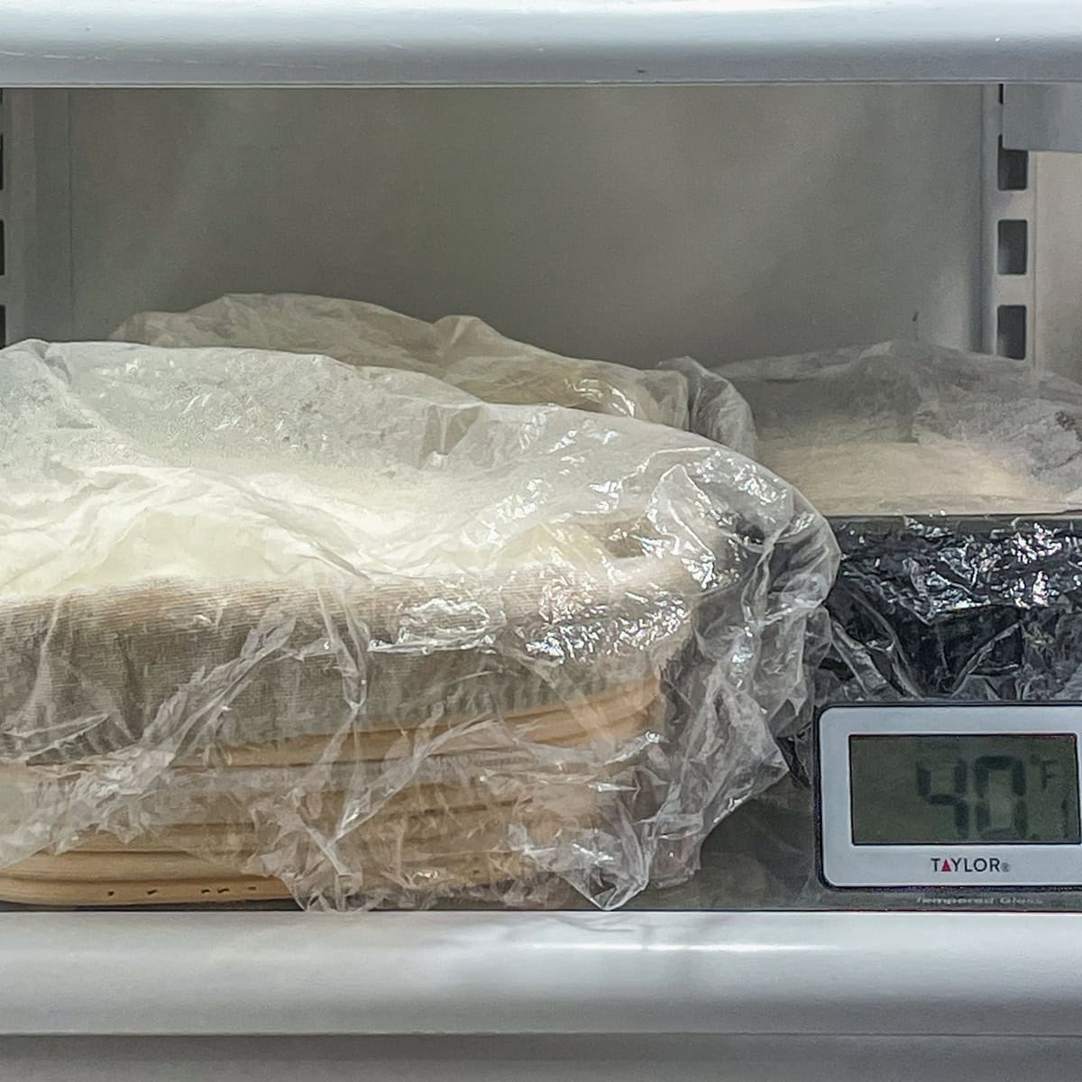 Do You Really Need to Proof Sourdough in the Fridge? – sourdoughtalk.com