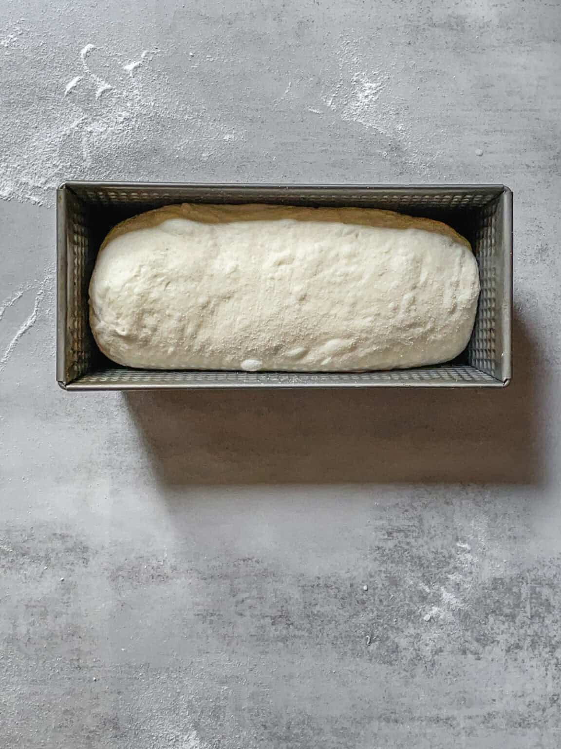How to Bake Sourdough in a Loaf Pan (Double Loaf Pan Method ...