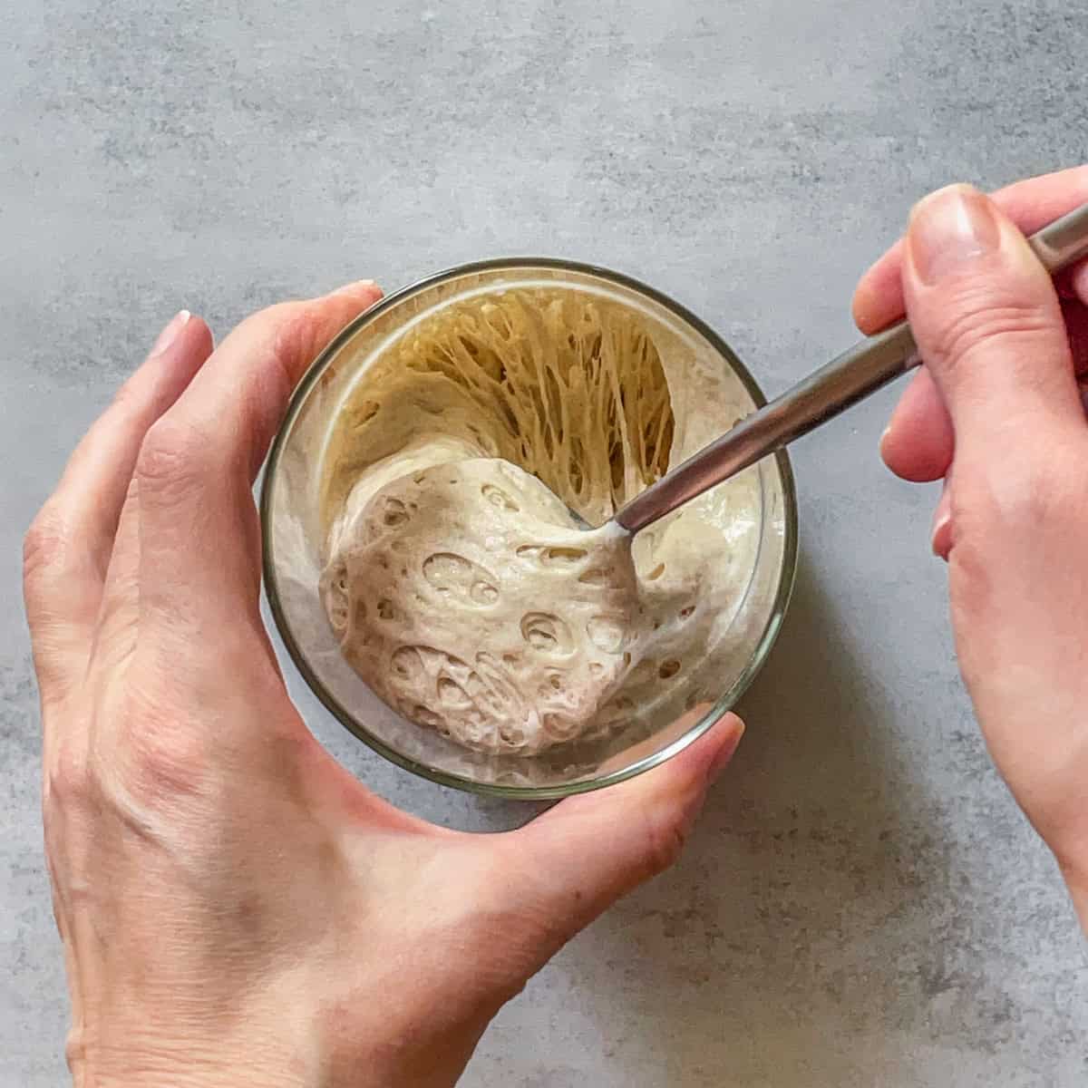 How to Tell If Sourdough Starter Is Ready for Baking – sourdoughtalk.com