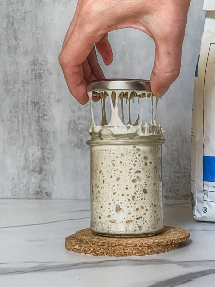 Feeding Sourdough Starter: Ultimate Guide – sourdoughtalk.com