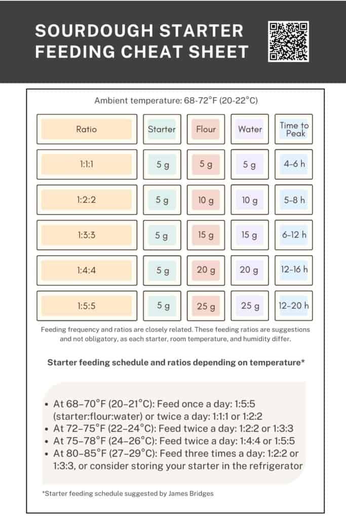 Sourdough Starter Feeding Ratios: A Complete Guide – sourdoughtalk.com
