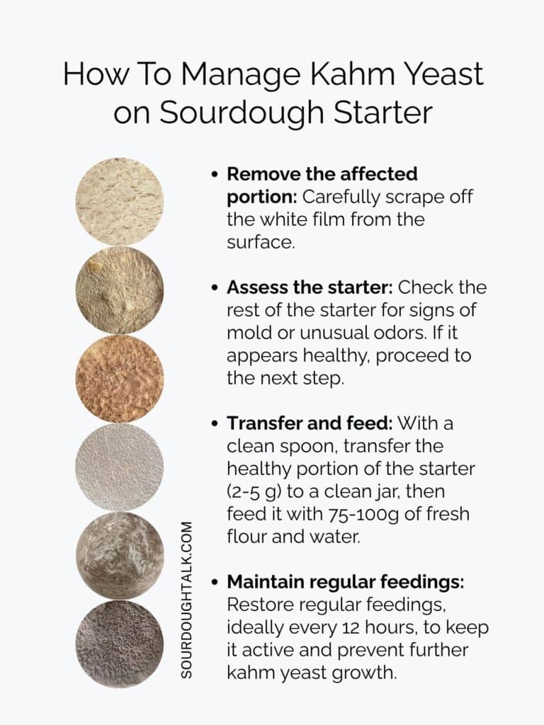 Kahm Yeast on Sourdough Starter: How to Handle It – sourdoughtalk.com