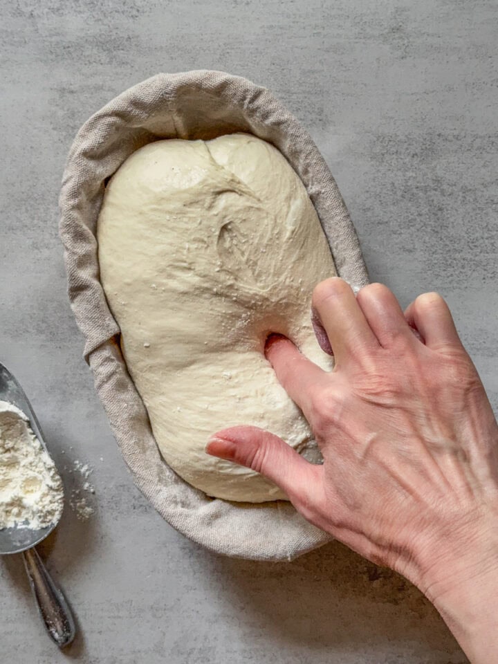 Underproofed Sourdough Bread: How to Recognize and Fix It ...