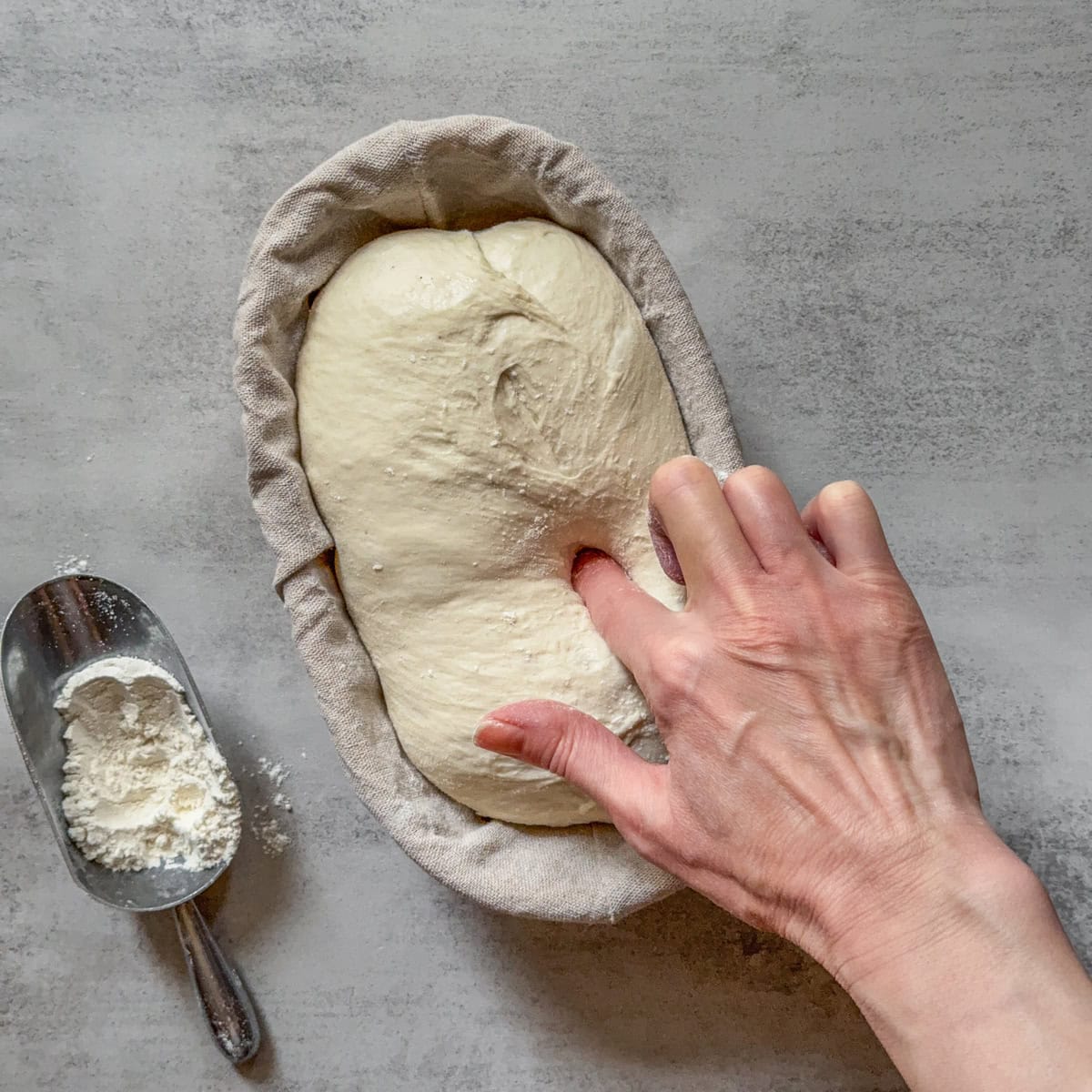 How to Tell If Dough Is Proofed: Countertop vs Cold Proofing ...
