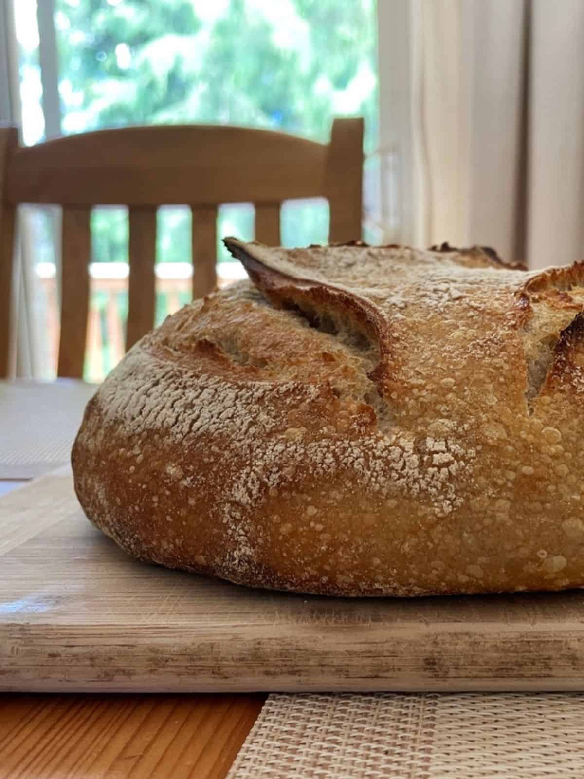 Underproofed Sourdough Bread: How to Recognize and Fix It – sourdoughtalk.com