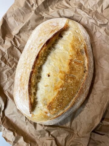Underproofed Sourdough Bread: How to Recognize and Fix It ...