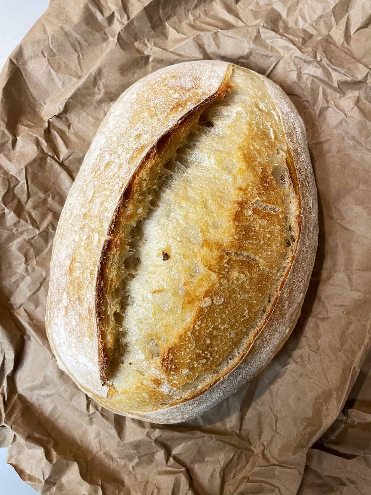 Underproofed Sourdough Bread: How to Recognize and Fix It ...