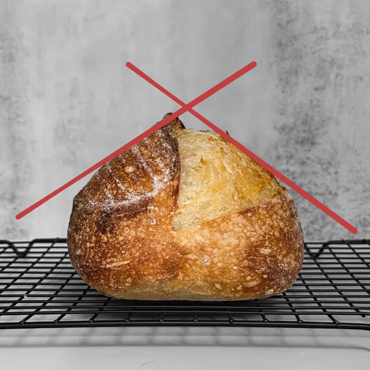 Underproofed Sourdough Bread: How to Recognize and Fix It ...