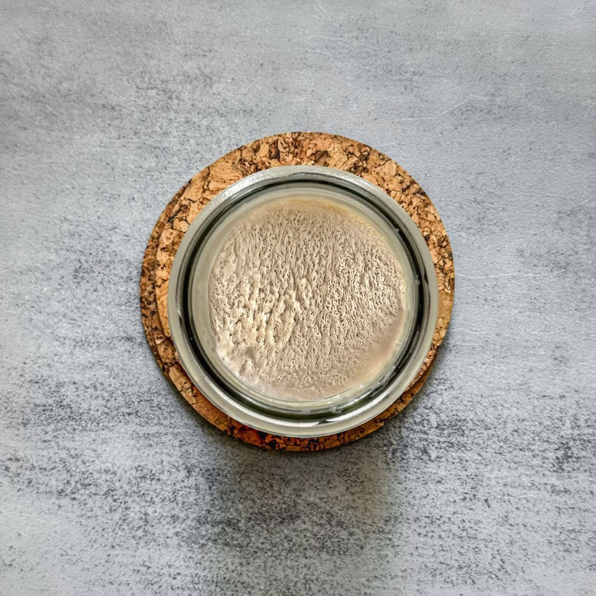 Kahm Yeast on Sourdough Starter: How to Handle It – sourdoughtalk.com