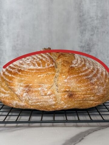 How to Make Sourdough More Sour: 12 Effective Tips – sourdoughtalk.com