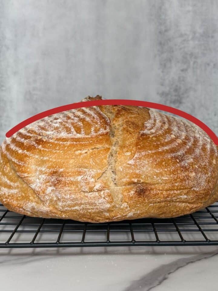 How to Make Sourdough More Sour: 12 Effective Tips – sourdoughtalk.com