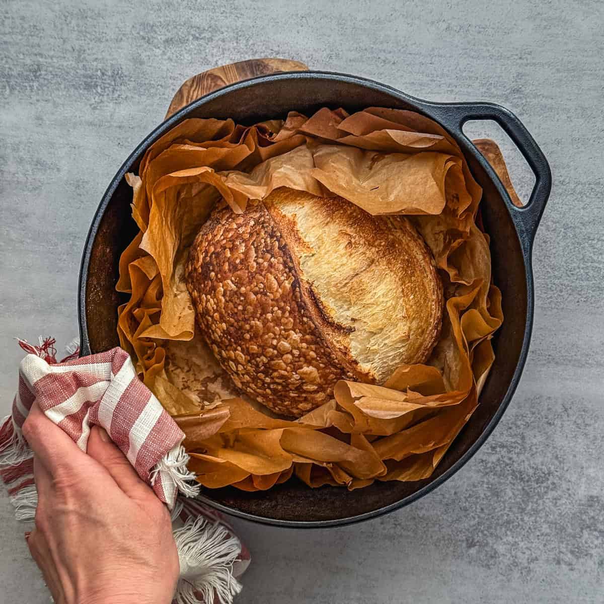 Best Parchment Paper for Baking Sourdough Bread – sourdoughtalk.com