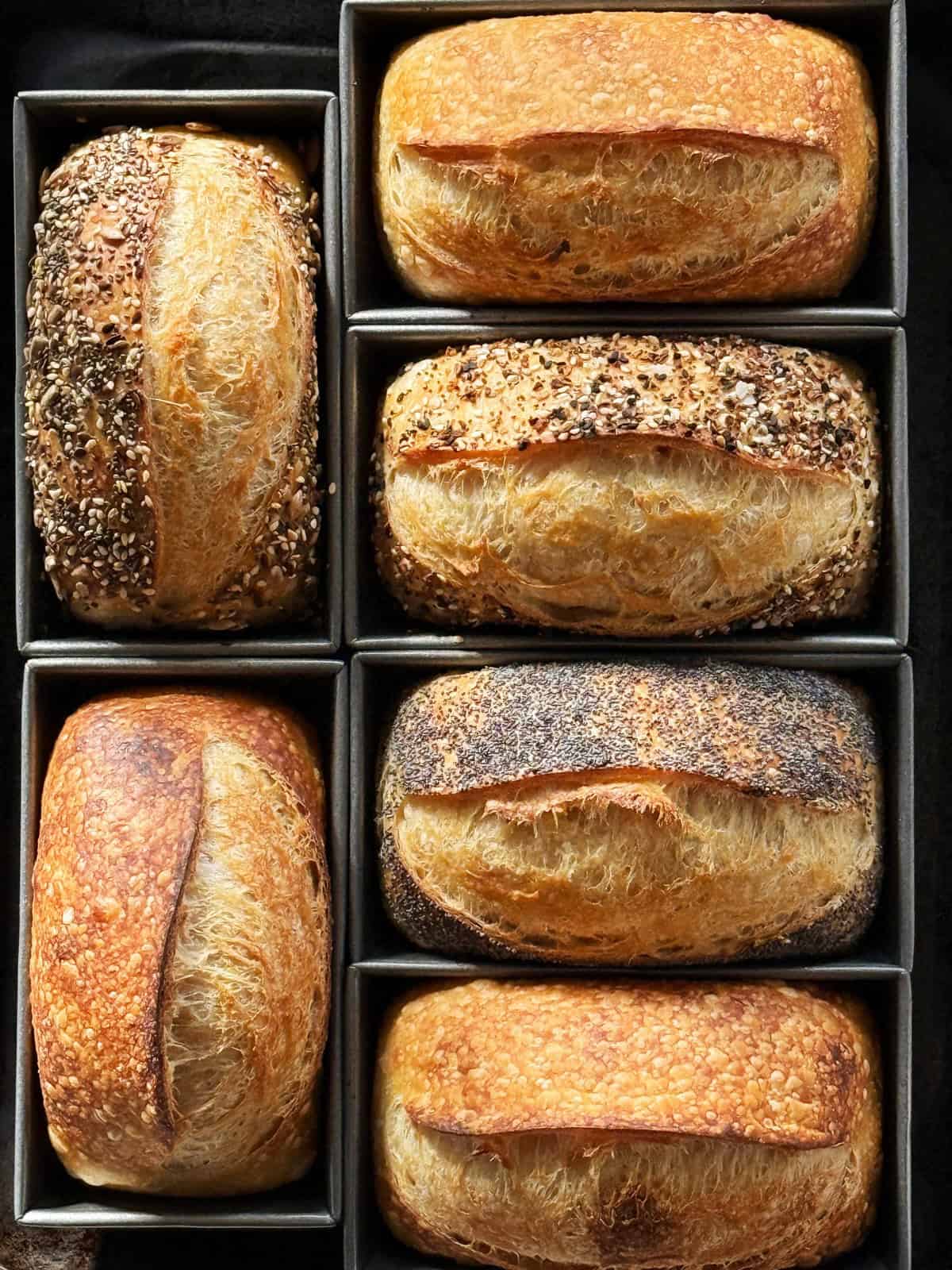 How to Make Sourdough Mini Loaves – sourdoughtalk.com