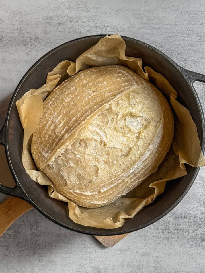 Why Bench Rest Is Important in Sourdough (And Can You Skip It ...